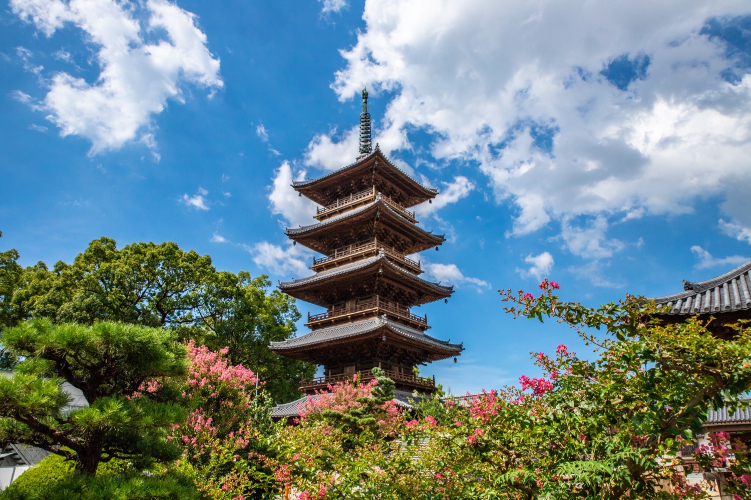 Motoyamaji Temple | Mitoyo Tourism and Exchange Authority