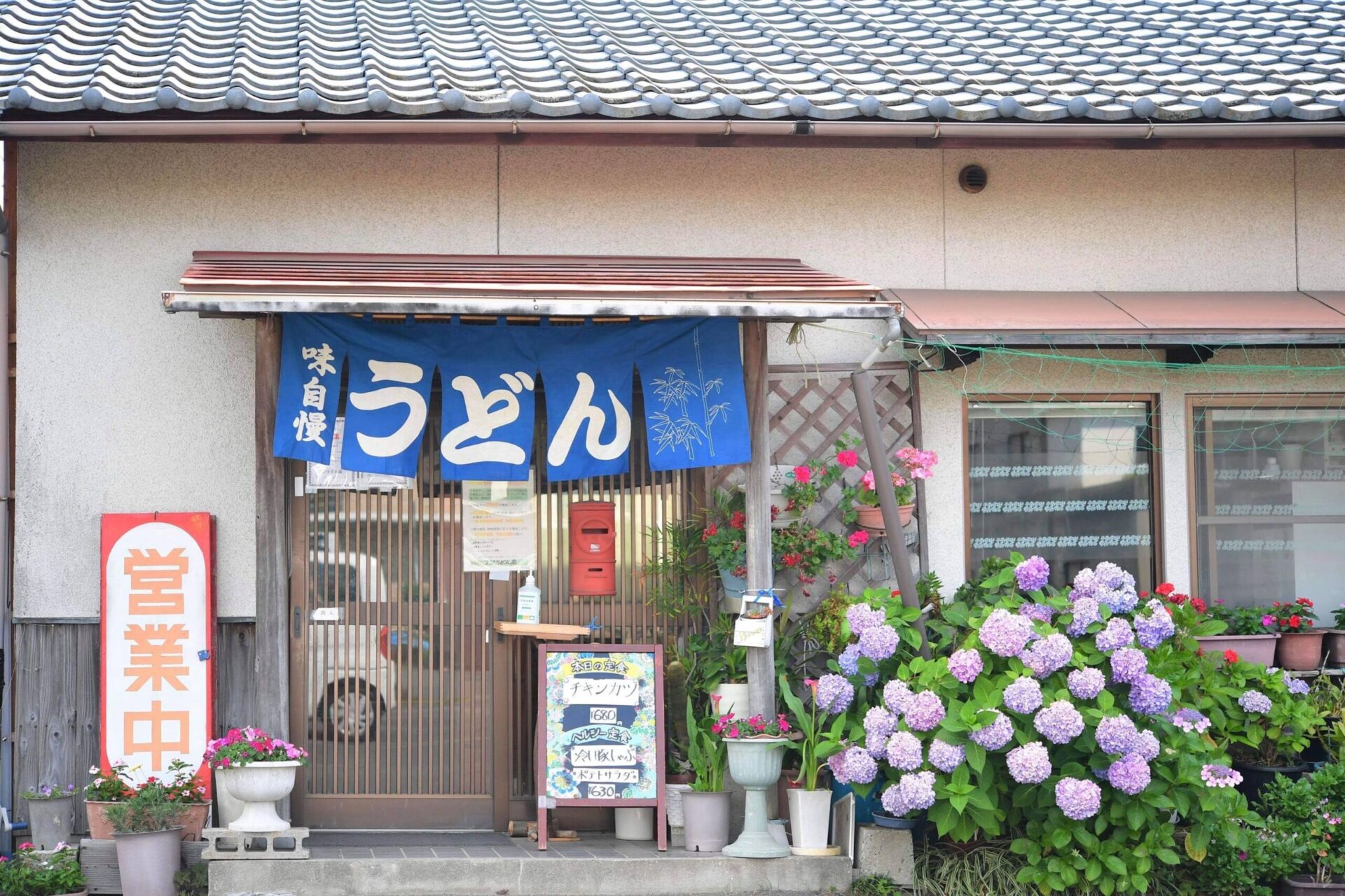 Fuji Udon | Mitoyo Tourism and Exchange Authority